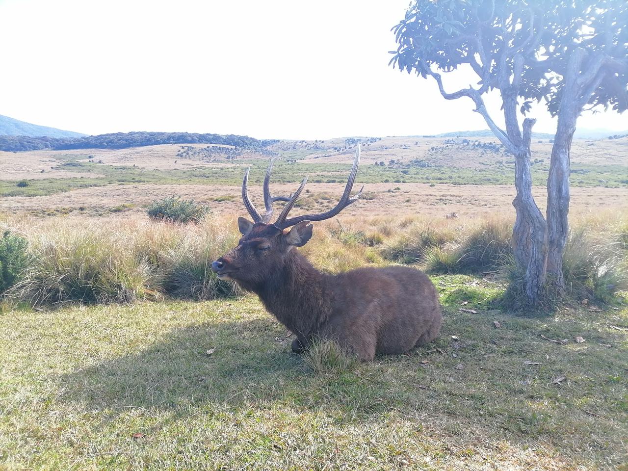 Gallery - Ceylo Traveler in Sri Lanka Travel Photo Gallery