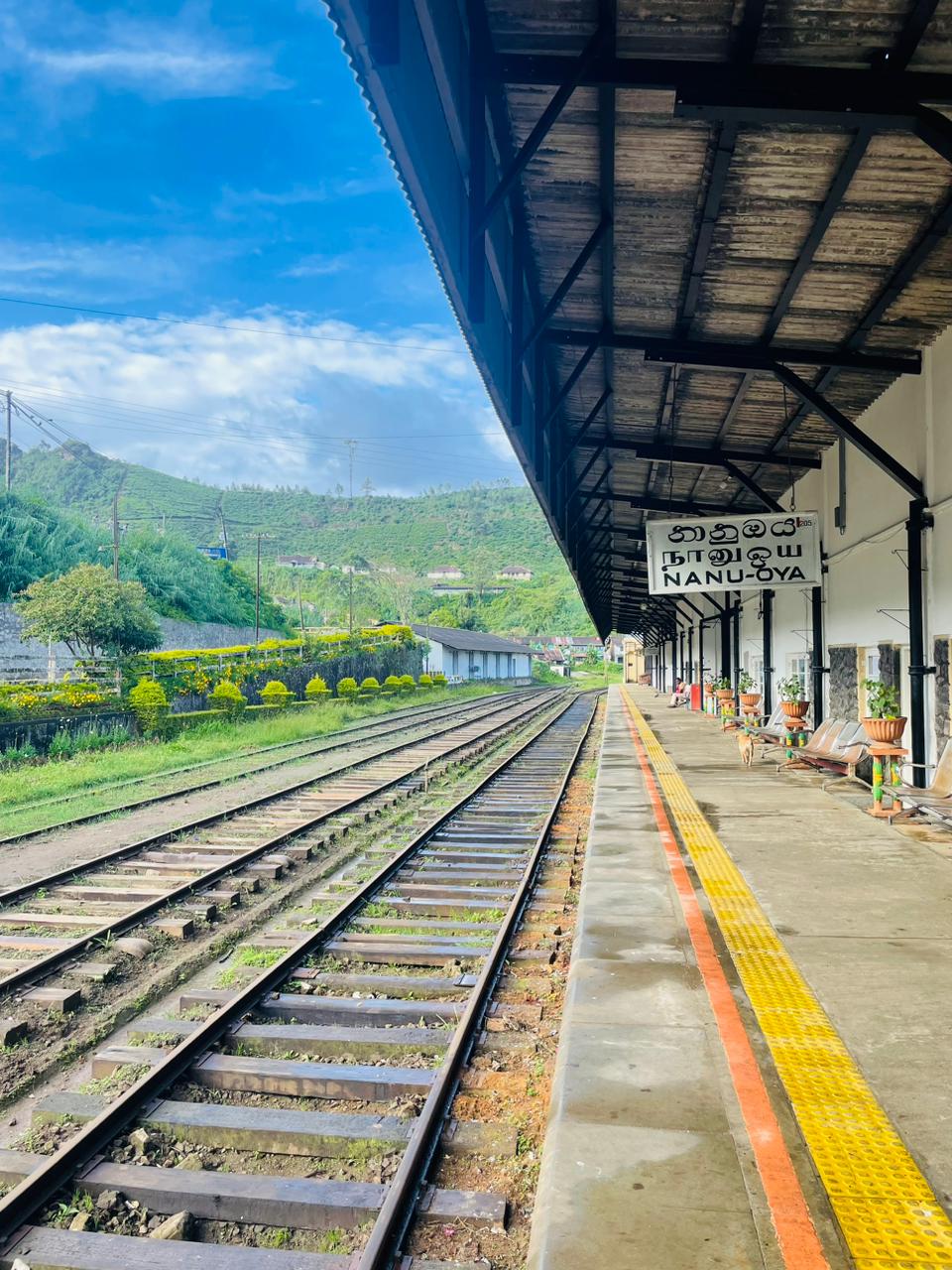 Gallery - Ceylo Traveler in Sri Lanka Travel Photo Gallery